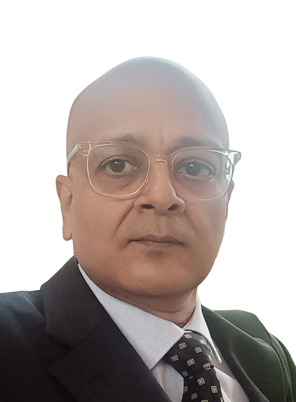 Experienced Virtual CFO Team at CFO Bridge